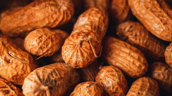How to Eat Boiled Peanuts: the Art of Enjoying the Beloved Snack